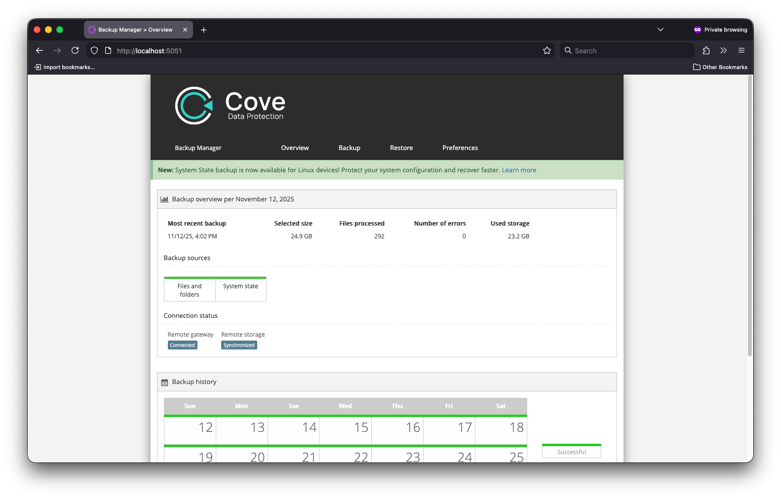 Cove: Accessing the local Backup Manager on devices without a GUI